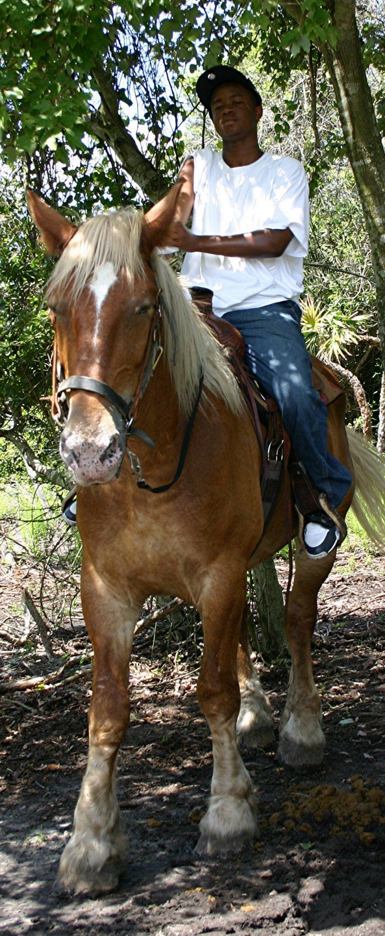 Horseback Hourly Rental | Suncitystables.com: Florida Trail Rides Sun ...